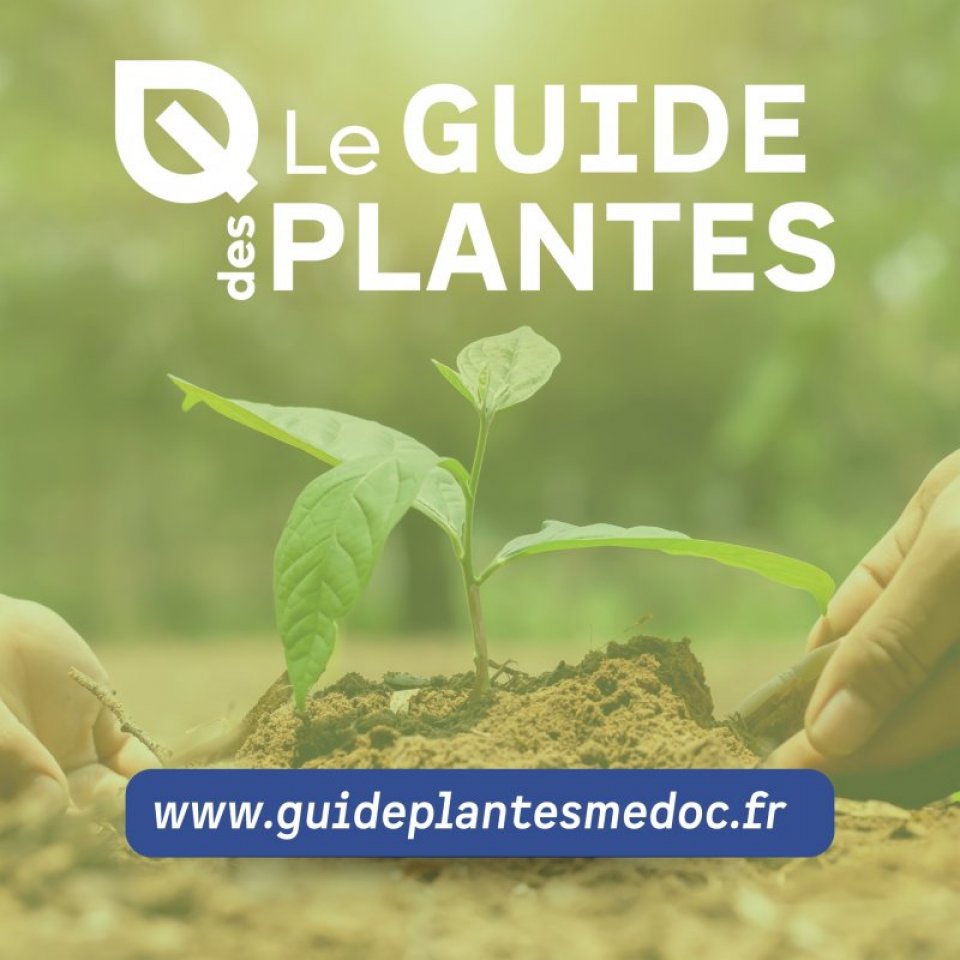 Plantez local et responsable avec le Guide des plantes par Parc naturel ...